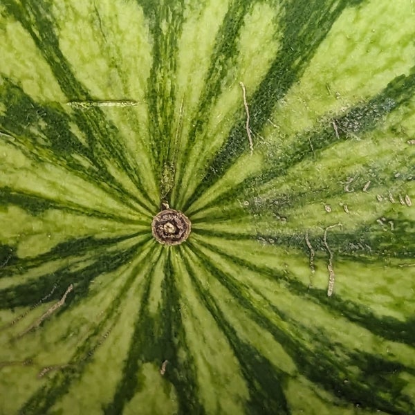WinCo Foods - Indio, CA