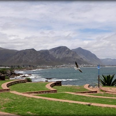 Hermanus - Town
