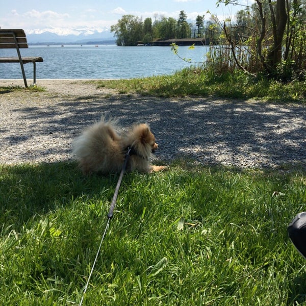 Strandbad Sursee