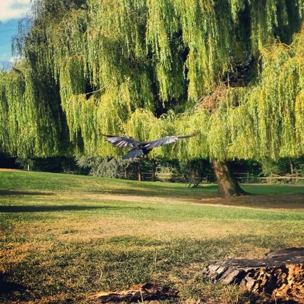 Springfield Park - Springfield - Springfield