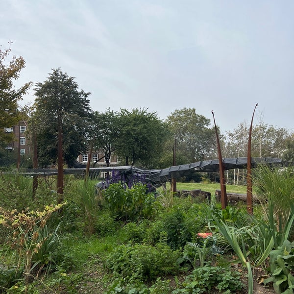 Waterloo Millennium Green - Park