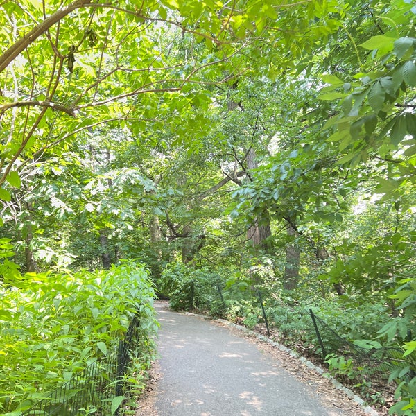 Photos at The Ramble - Central Park - New York, NY