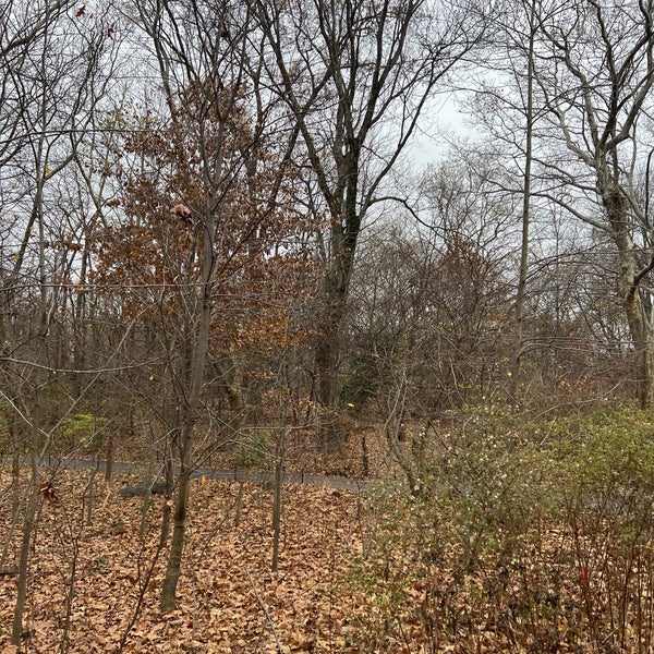 Photos at The Ramble - Central Park - New York, NY