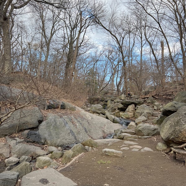 Photos at The Ramble - Central Park - New York, NY