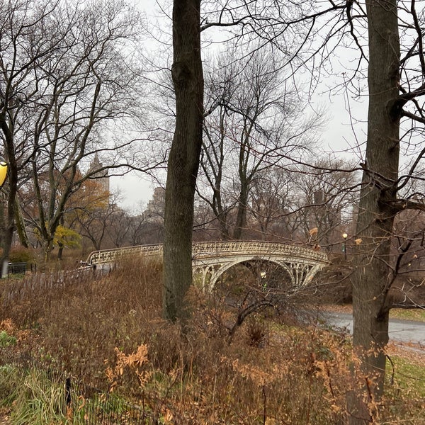 Gothic Bridge - Bridge in Central Park