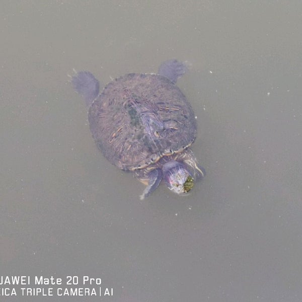 Choo Chiang Marketing Pte Ltd - Hardware Store