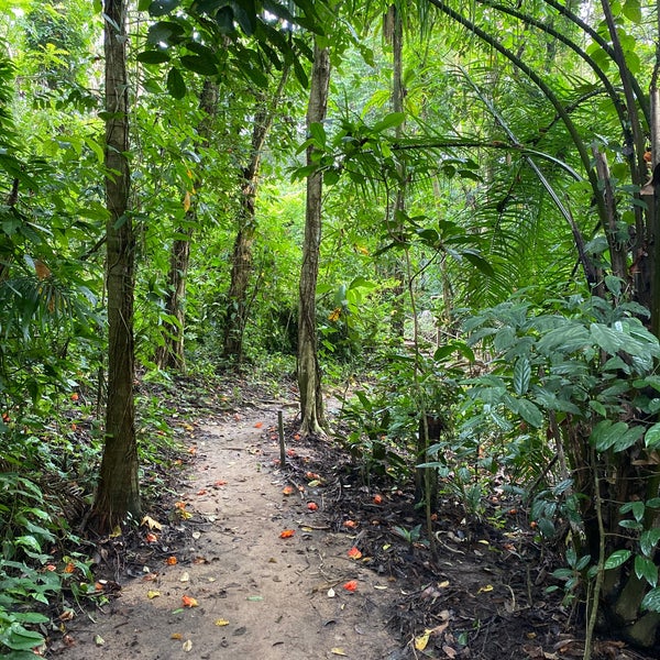 Wallace Trail - 6 tips