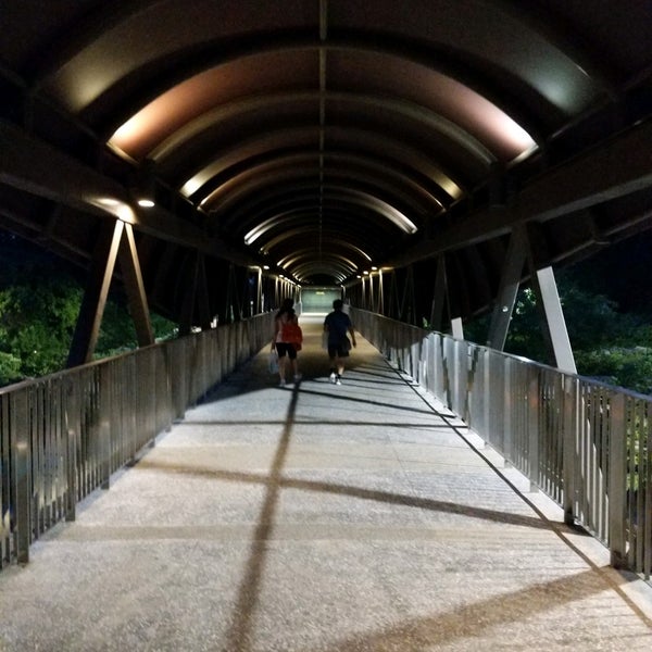 Overhead Pedestrian Bridge (No. 55234) - Bridge in Singapore