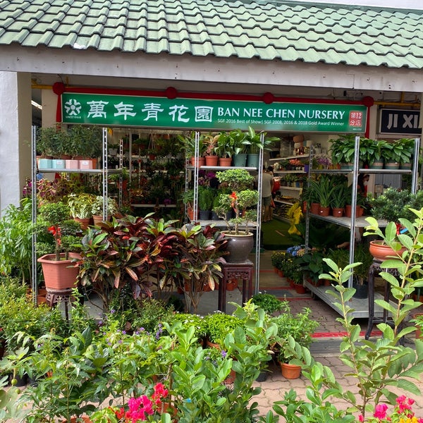 Ang Mo Kio Flower Nursery - Home Alqu