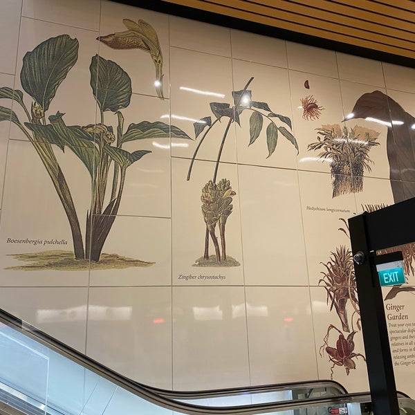 Napier MRT Station (TE12) - Metro Station in Singapore