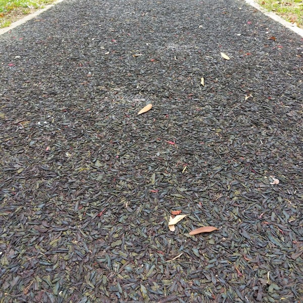 Hwi Yoh Green - Park in Serangoon