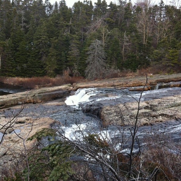 Manuels River - 1 tip