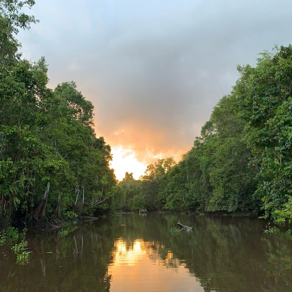 Sukau Rainforest Lodge