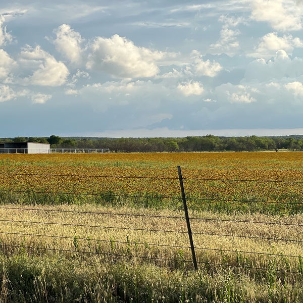 SmokeStack Restaurant - BBQ Joint in Thurber