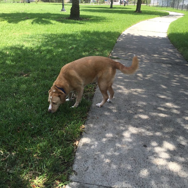 Springfield Confederate Dog Park - Springfield - 949 Hubbard St