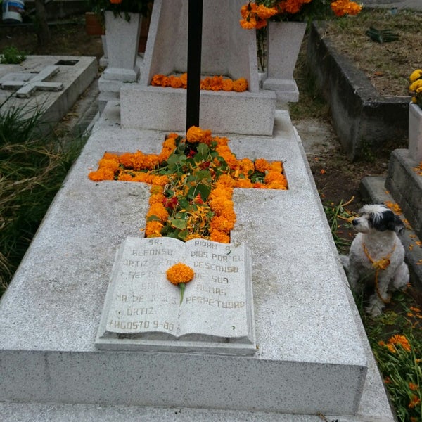 Panteón Tarango - Merced Gómez Poder Popular - 4 tips from 159 visitors