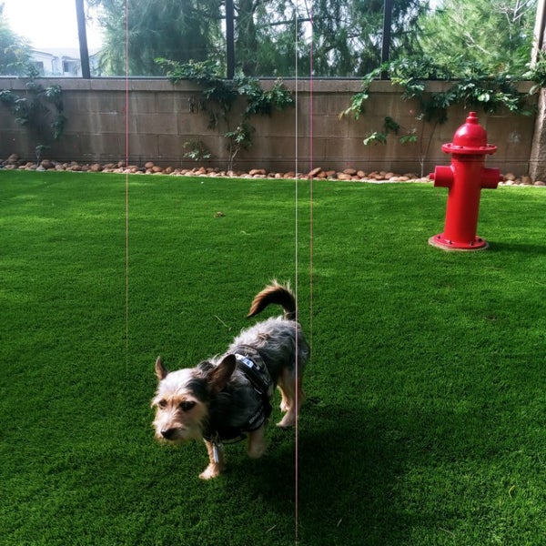 Mini Dog Park - Portola Springs - Irvine, CA