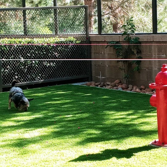 Mini Dog Park - Portola Springs - Irvine, CA