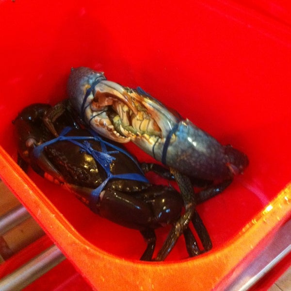 Jc Foodtech(金川）Jin Chwan - Seafood Restaurant in Selayang