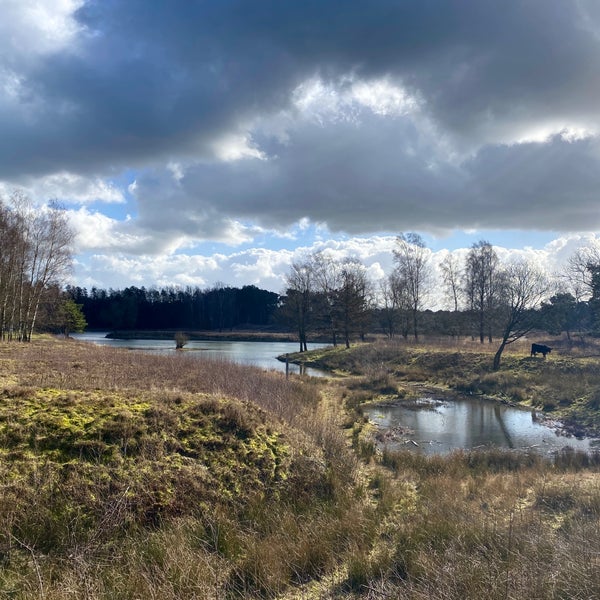 Boswachterij Dorst - 4 tips