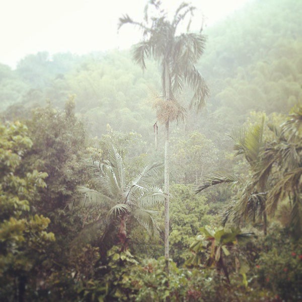 Straun Castle Gardens - 1 tip