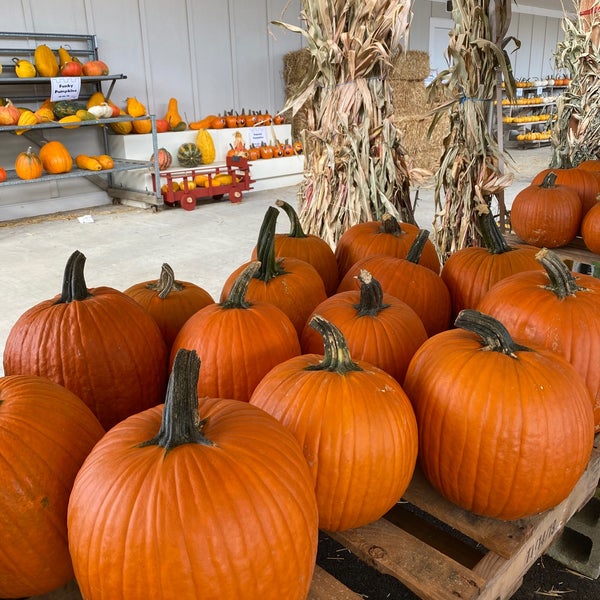 Apple Castle - New Castle, PA