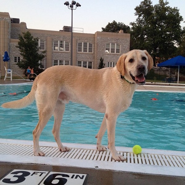 Photos at Maplewood Family Aquatic Center - Pool in St Louis