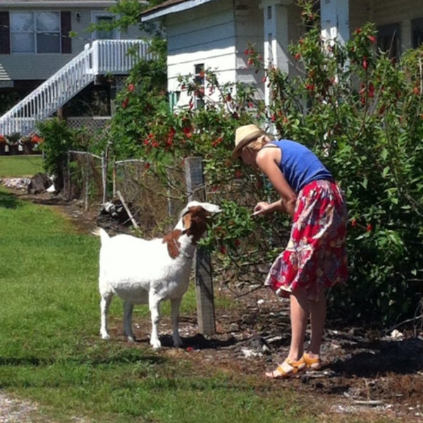 Goose Bayou Bridge - Barataria, LA