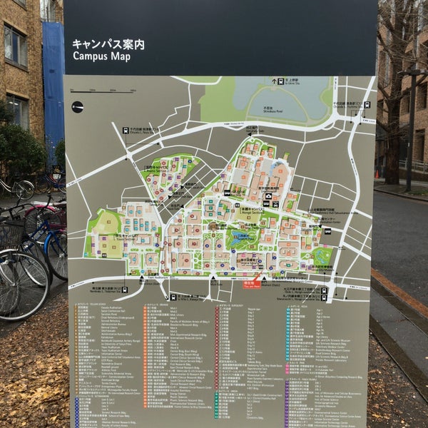 東京大学 本郷キャンパス (University of Tokyo - Hongo Campus) - 本郷 - 文京区、東京都