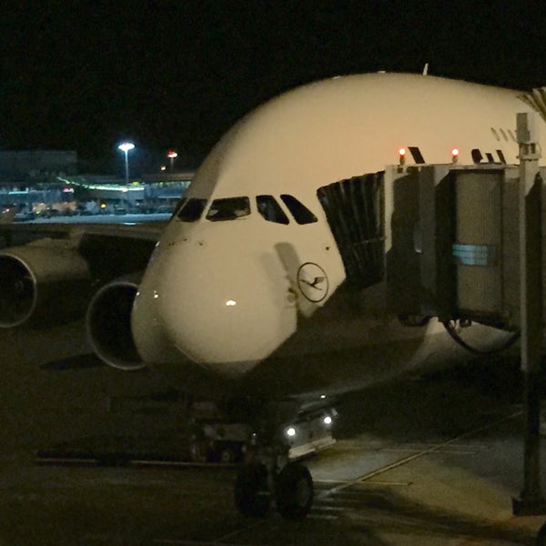 Photos at Lufthansa Flight LH 779 - Plane in Singapore