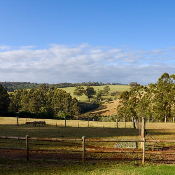 Pemberton - 171 visitors