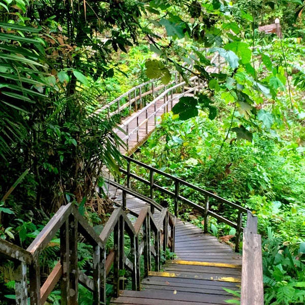 MacRitchie Nature Trails - Central Catchment Nature Reserve - 26 tips ...