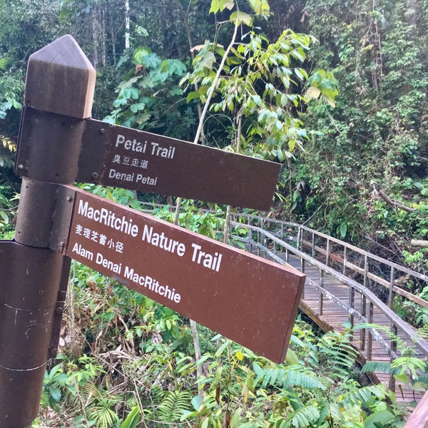 MacRitchie Nature Trails - Central Catchment Nature Reserve - 26 tips ...