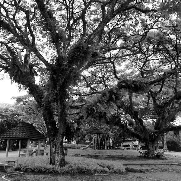 Sunset Way Playground - Clementi - Sunset Way