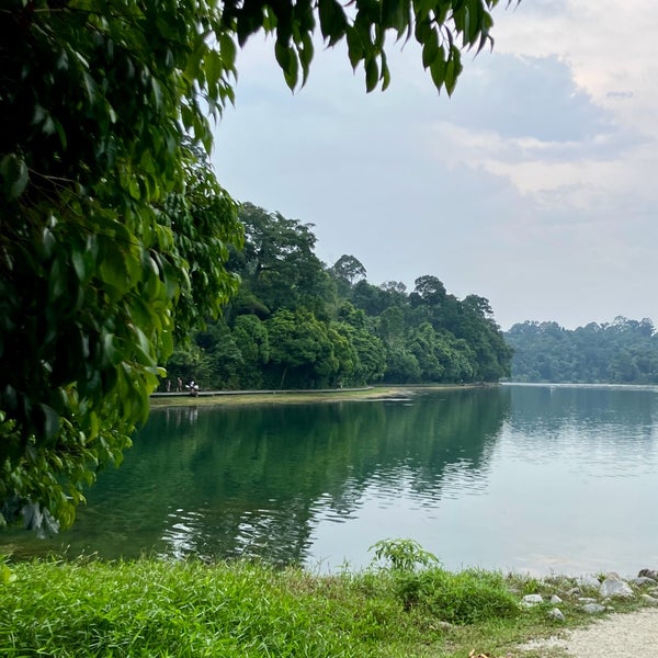MacRitchie Reservoir Park - Central Catchment Nature Reserve - 62 tips