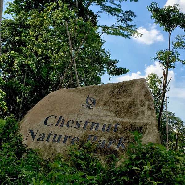 Chestnut Nature Park - Nature Preserve in Singapore