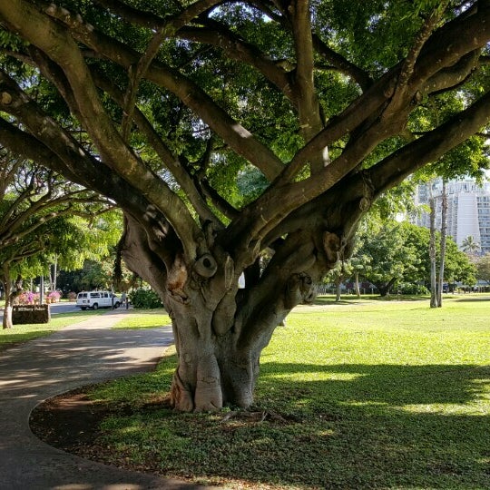 Photos at Kuroda Field - Waikiki - 1 tip