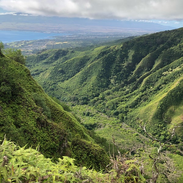 Waihe'e Ridge Trail - 11 tips from 550 visitors