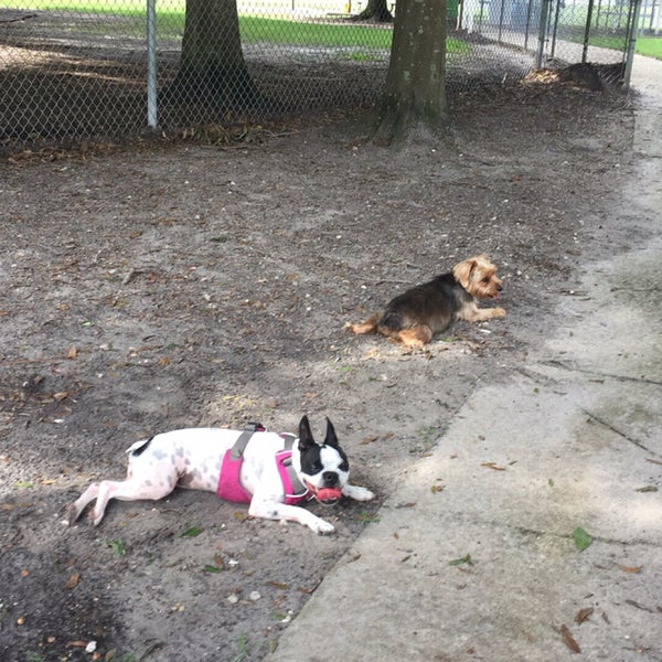 West Dog Park - 11 tips from 256 visitors