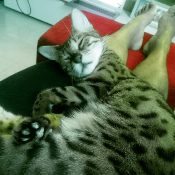 7-11 พระราม2 พันท้าย - Convenience Store in Samut Sakhon