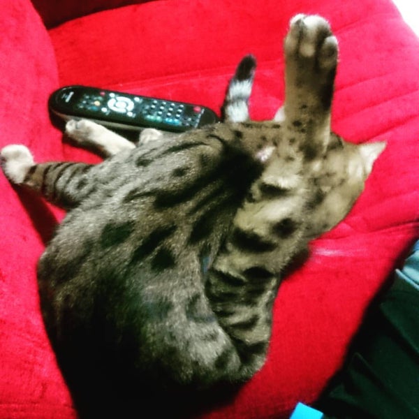 7-11 พระราม2 พันท้าย - Convenience Store in Samut Sakhon