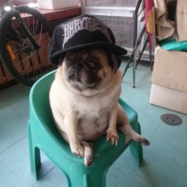 7-11 พระราม2 พันท้าย - Convenience Store in Samut Sakhon