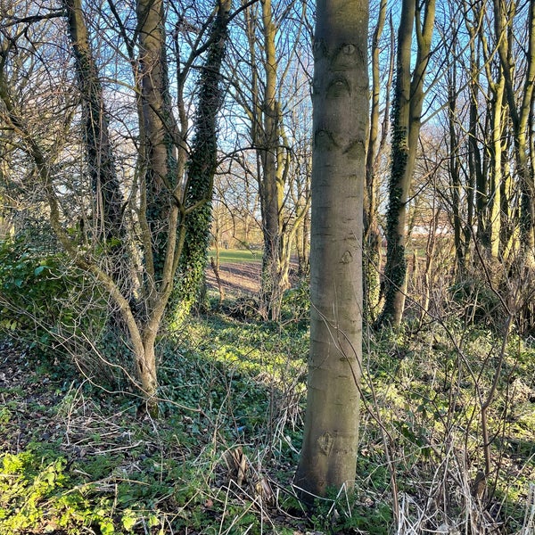The Bumps - Playground in Roundhay