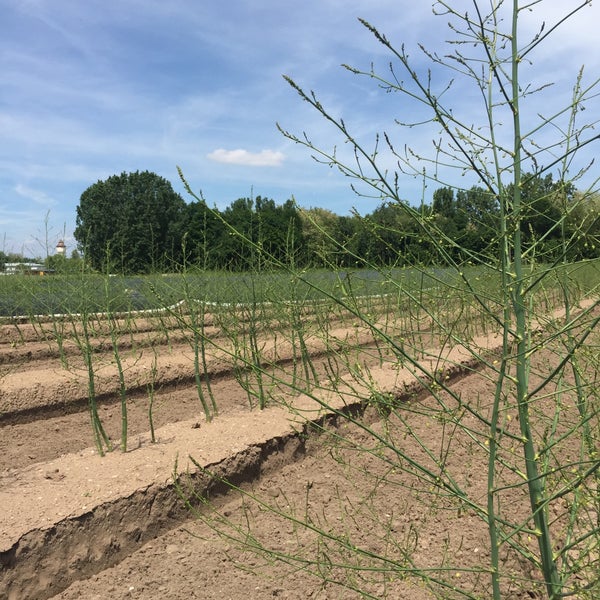 Brumath - Brumath, Grand Est