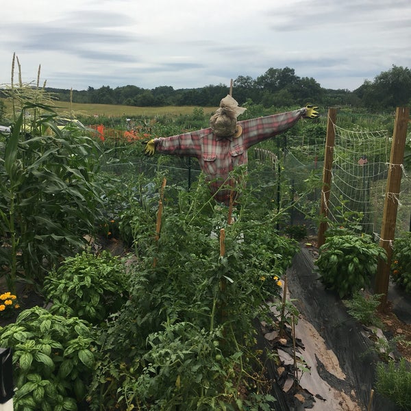 Deming Young Farm - Newington, CT