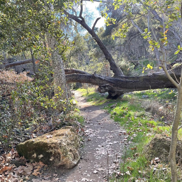 Sycamore Trail - Livermore, CA