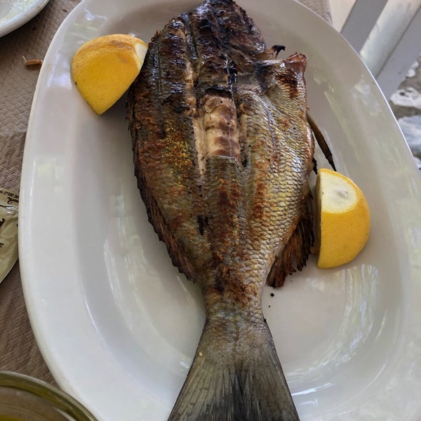 Akrogiali Fish Tavern - Kótronas, Λακωνία