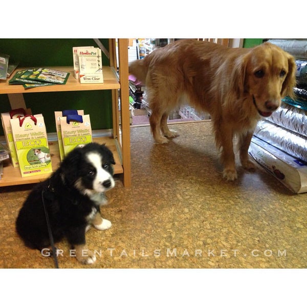 Green Tails Market - Pet Supplies Store