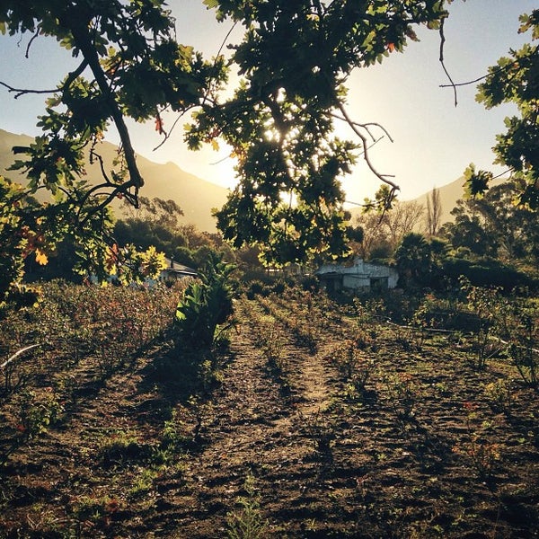 Tokai Forest - Silvermine - Tokai