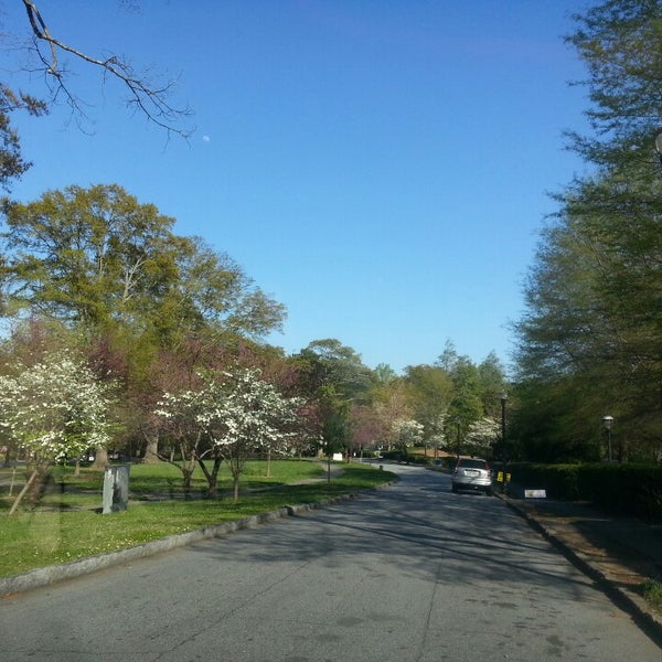 Photos at Deepdene Park - Park in Eastside